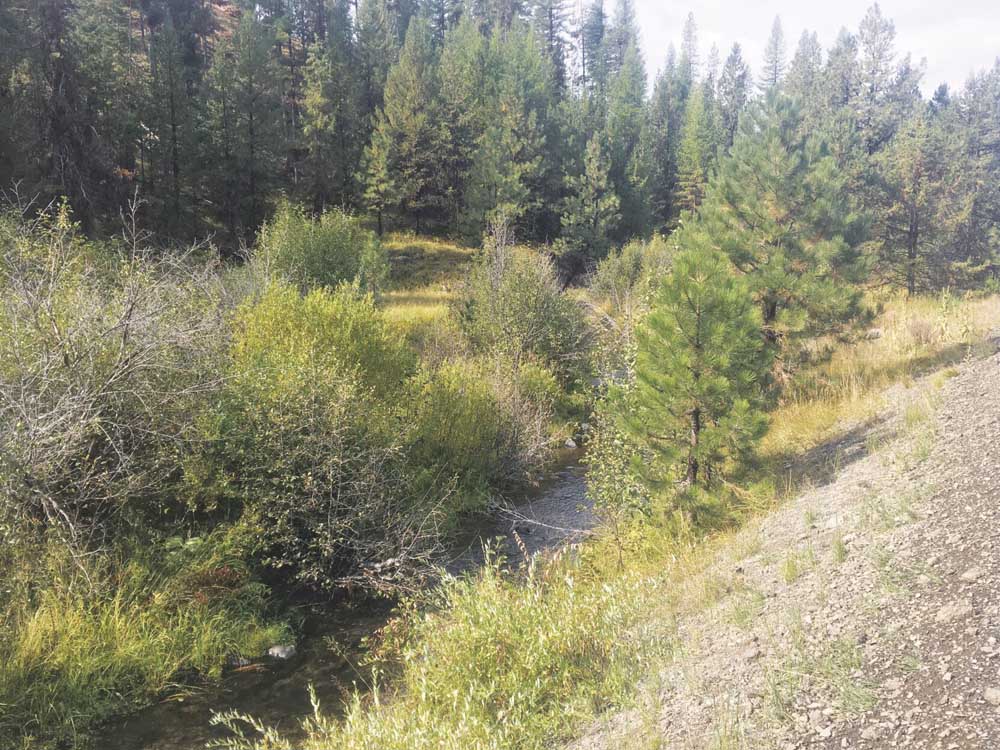 Tribes plan to restore dredged stream near Granite | Blue Mountain Eagle