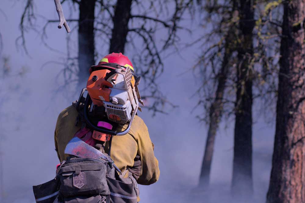 No formal charges yet in October arrest of Forest Service burn boss in ...