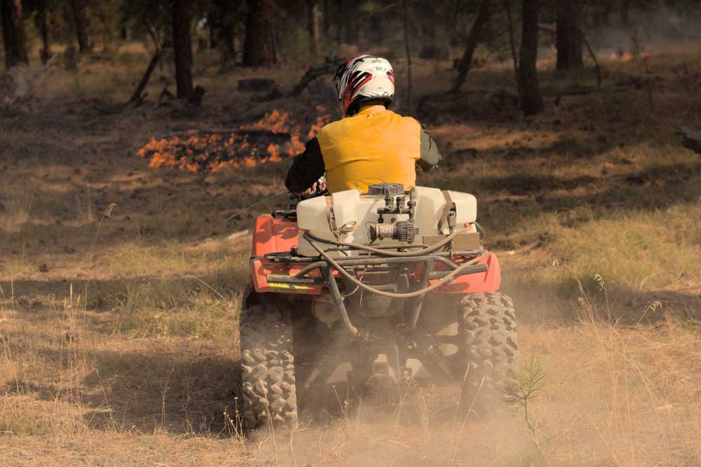 U.S. Forest Service burn boss arraigned; release agreement amended ...