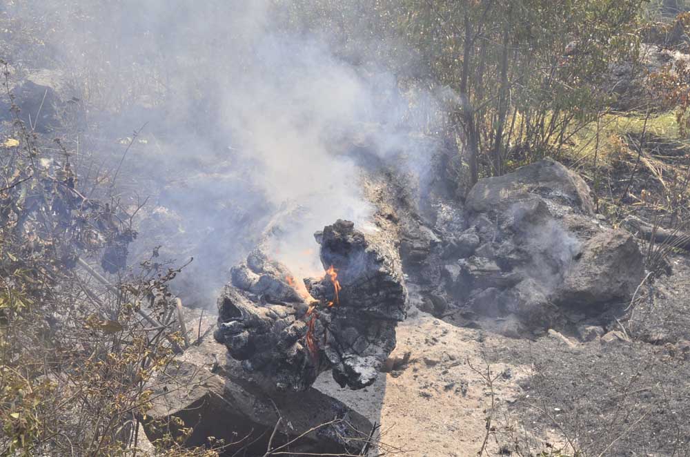 Parts of Rail Ridge Fire area remain closed to public access | Blue ...