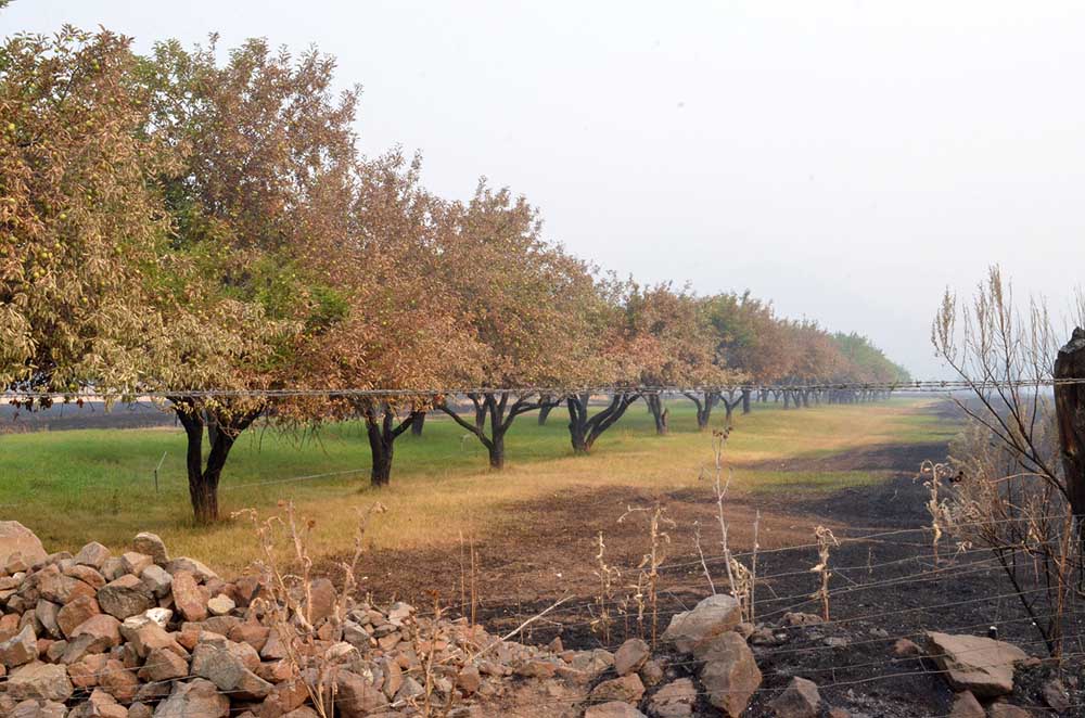 Evacuation notices lifted for Battle Mountain Complex in Grant County ...