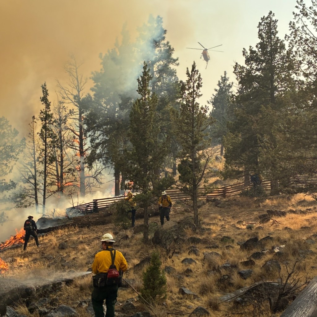Less acreage burned in Oregon’s 2025 wildfire season, but more ignited ...